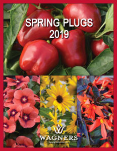 Young Plant Programs - MN | Wagners Greenhouses