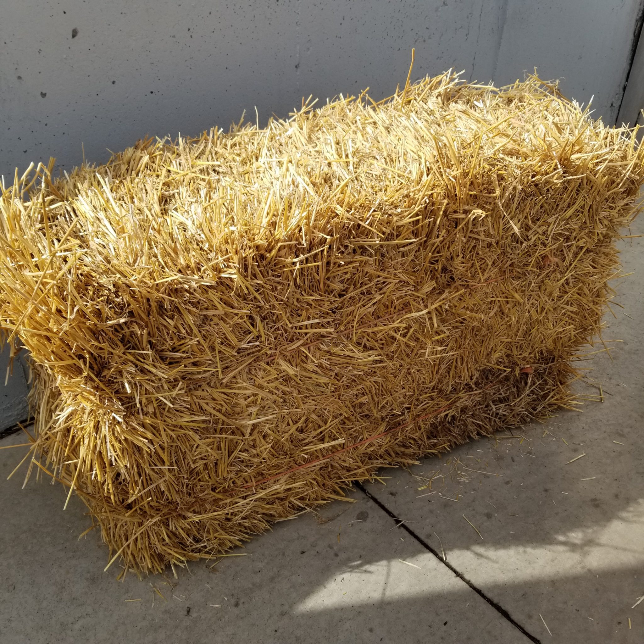 Natural Fall Decorating Ideas | Wagners Greenhouse MN