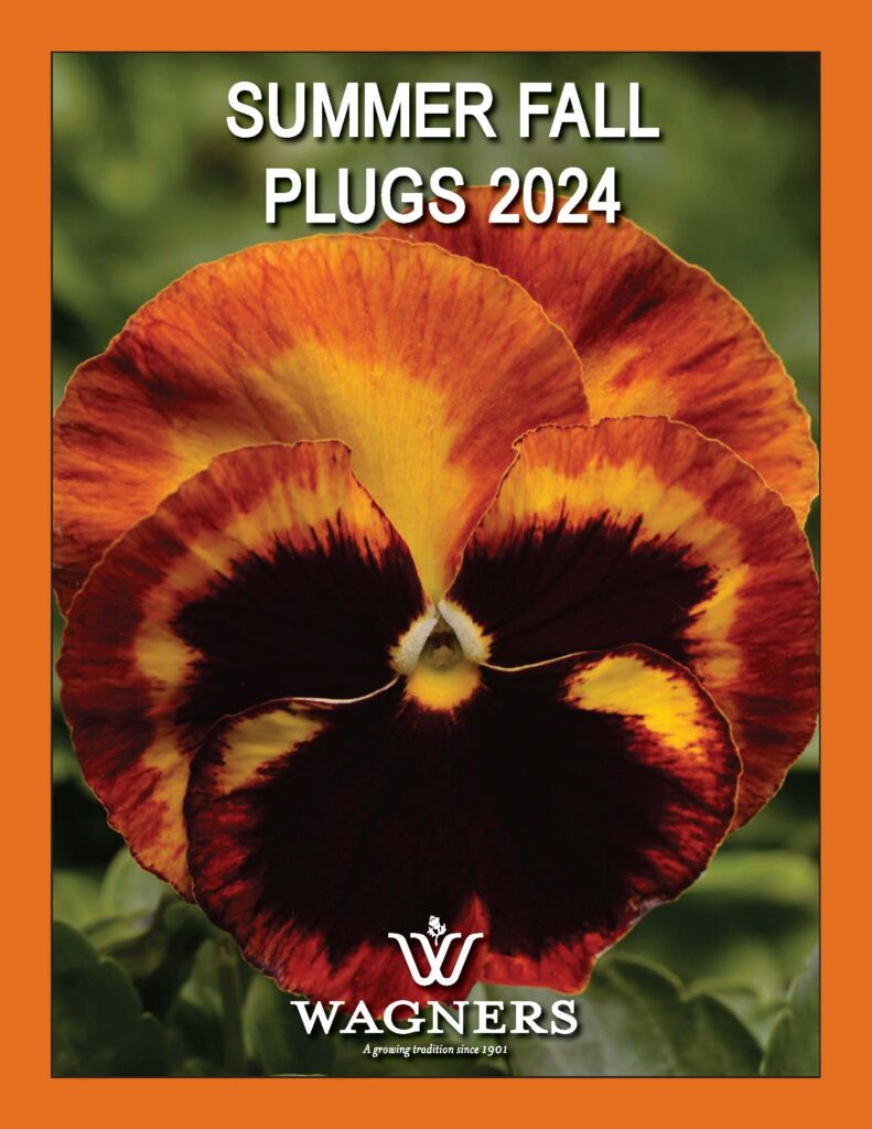 Flower Plugs | Wholesale Plant Plugs | Wagners Greenhouses