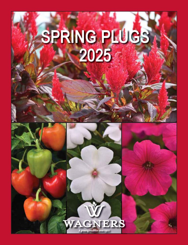 Flower Plugs | Wholesale Plant Plugs | Wagners Greenhouses